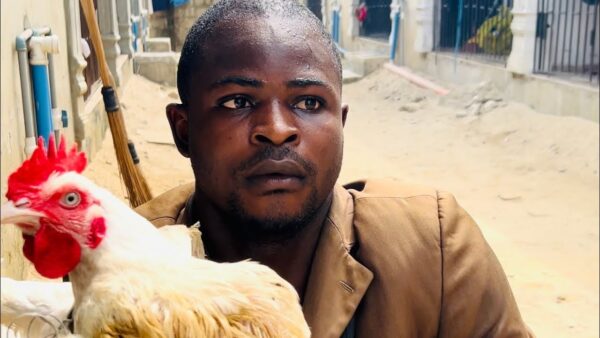 Dear Editor: Why current criminals make me miss the ‘fowl tief’ - Wired868